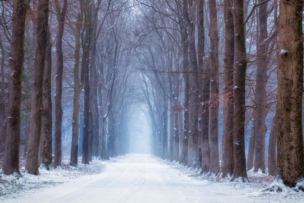 Winter in Korea – Qashwa Travel Sdn Bhd